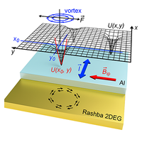[Phys. Rev. X 12, 041020] Published Mon Nov 21, 2022 Anisotropic Vortex Squeezing in Synthetic ...