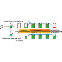 Physical Review A - Volume 112 Issue 3