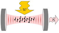 Superradiant optomechanical phases of cold atomic gases in optical ...