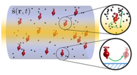 Quantum dynamics of collective spin states in a thermal gas | Phys. Rev. A