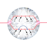 Physical Review A - Volume 108 Issue 5