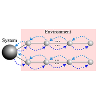 System-environment quantum information flow | Phys. Rev. A