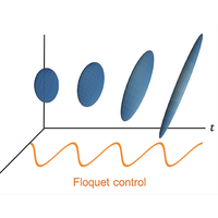 Physical Review A - Volume 111 Issue 1