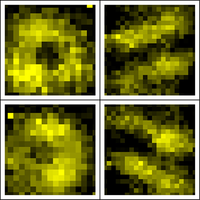 Observation of transition radiation carrying orbital angular momentum | Phys. Rev. A