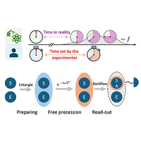 Physical Review A - Volume 112 Issue 3