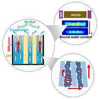 Water diffusion in wood and plant cell walls: An activated process ...