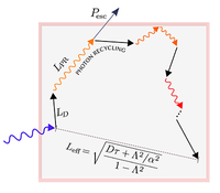 Insight into Photon Recycling in Perovskite Semiconductors from the ...
