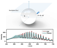 Interplay of Purcell Effect, Stimulated Emission, and Leaky Modes in ...