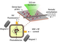 Cross-Sensor Feedback Stabilization of an Emulated Quantum Spin ...