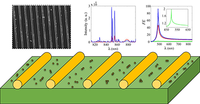 Two-Scale Structure for Giant Field Enhancement: Combination of ...