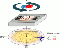 Surface-Acoustic-Wave Induced Ferromagnetic Resonance in Fe Thin Films ...