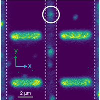 Sciencedirect Impact Factor