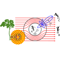 Physical Review Applied - Volume 19 Issue 1