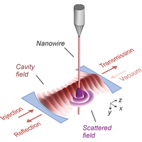 Physical Review Applied - Volume 20 Issue 1