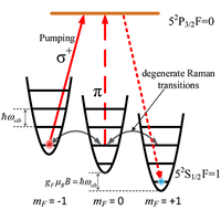 Physical Review Applied - Volume 20 Issue 1