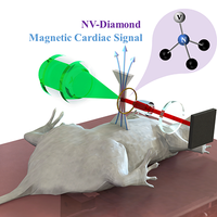 Noninvasive magnetocardiography of a living rat based on a diamond ...