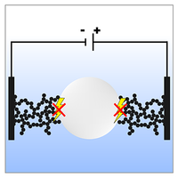 Decoupling elasticity and electrical conductivity of carbon-black gels ...