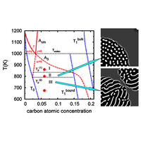 Autocatalytic Mechanism of Pearlite Transformation in Steel | Phys. Rev ...