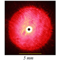 Bifocal Optical-Vortex Lens with Sorting of the Generated Nonseparable ...
