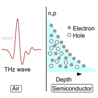 Photoexcited Carrier Dynamics in InAs, GaAs, and InSb Probed by ...