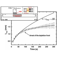 Concentration-Gradient Stabilization with Segregated Counter- and Co ...