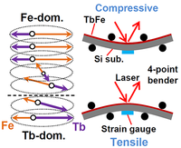 Strain-Modulated Exchange-Spring Magnetic Behavior in Amorphous Tb-Fe ...