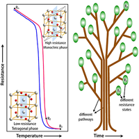 Physical Review Applied - Volume 23 Issue 6