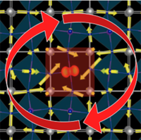 Ferrotoroidic polarons in antiferrodistortive | Phys. Rev. B