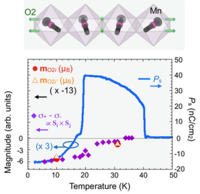 Electronic charge transfer driven by spin cycloidal structure | Phys ...