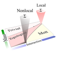 Local versus nonlocal correlation effects in interacting quantum spin ...