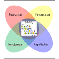 Multiple ferroic orders and toroidal magnetoelectricity in the chiral ...