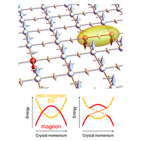 Magnons, magnon bound pairs, and their hybrid spin-multipolar topology ...