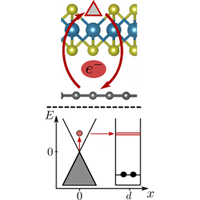 Charge quenching at defect states in transition metal dichalcogenide ...
