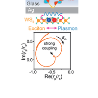Strong coupling of monolayer excitons and surface plasmon polaritons in ...