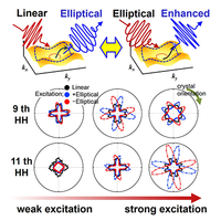 Enhancing high harmonic generation in GaAs by elliptically polarized ...