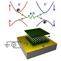 Strain control of exciton and trion spin-valley dynamics in monolayer ...