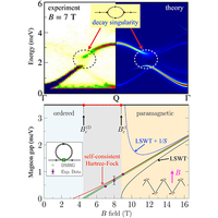 Magnon interactions in the quantum paramagnetic phase of | Phys. Rev. B