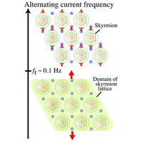 Detailed dynamics of a moving magnetic skyrmion lattice in MnSi ...