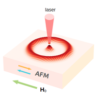 Spin wave dynamics excited by a focused laser pulse in antiferromagnet ...