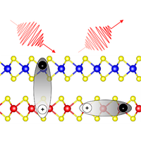 [Phys. Rev. B 110, 035118] Published Mon Jul 08, 2024 Excitonic ...