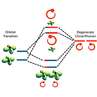 Giant effective magnetic moments of chiral phonons from orbit-lattice ...