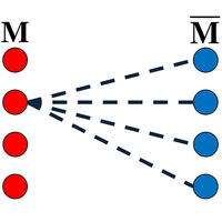Physical Review B - Highlights