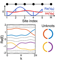 Versatile braiding of non-Hermitian topological edge states | Phys. Rev. B