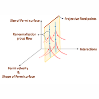 Projective fixed points for non-Fermi liquids: A case study of the ...