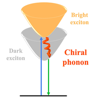 Efficient electron spin relaxation by chiral phonons in monolayers ...