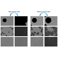 Reversal behavior and stability of spin textures with different ...