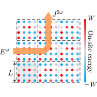 Nonlinear Hall effect on a disordered lattice | Phys. Rev. B