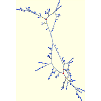 Physical Review B - Volume 111 Issue 1