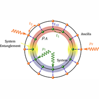 Physical Review B - Volume 111 Issue 1