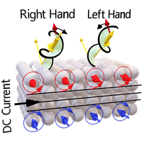 Physical Review B - Volume 111 Issue 1